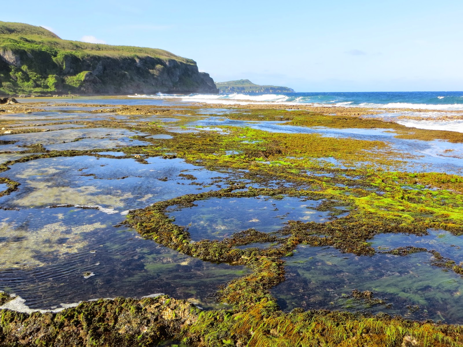 Hursts in Micronesia: To the most amazing Palau and back to beautiful ...